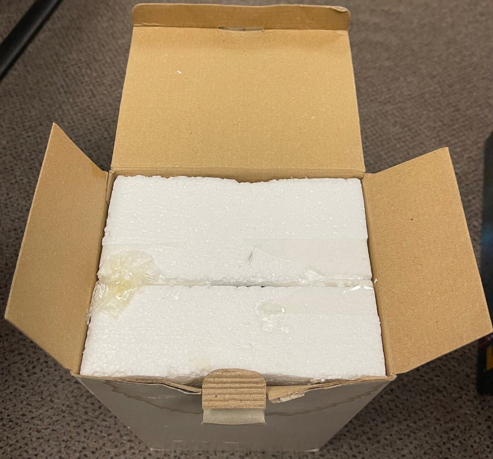 Steamboat Willie Bobble Dobbles Bobblehead Figure Disney World Mickey ...